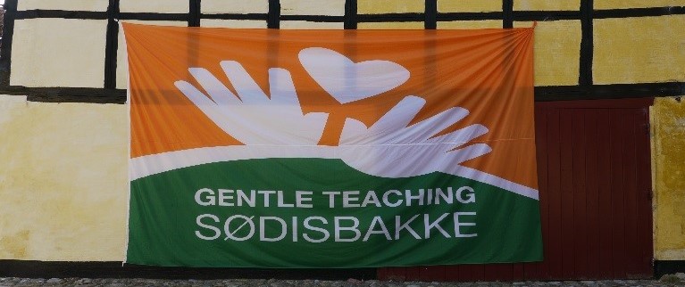 Gentle Teaching